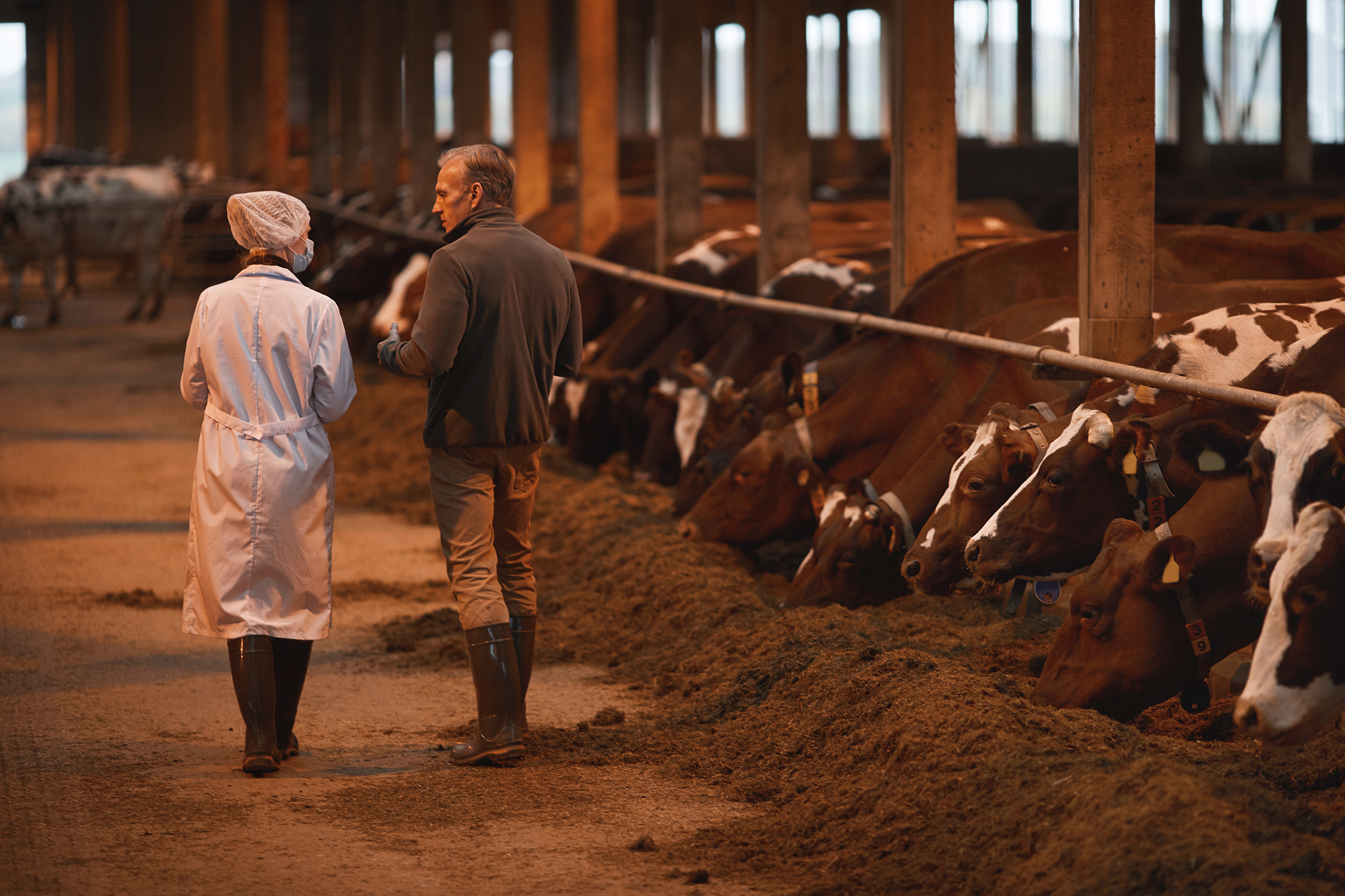 ¿Quiénes somos? | Diamax Food